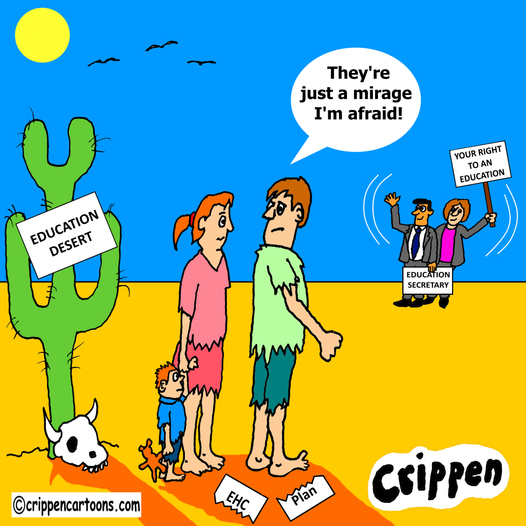 Crippen discovers restrictions to disabled youngster’s right to ...